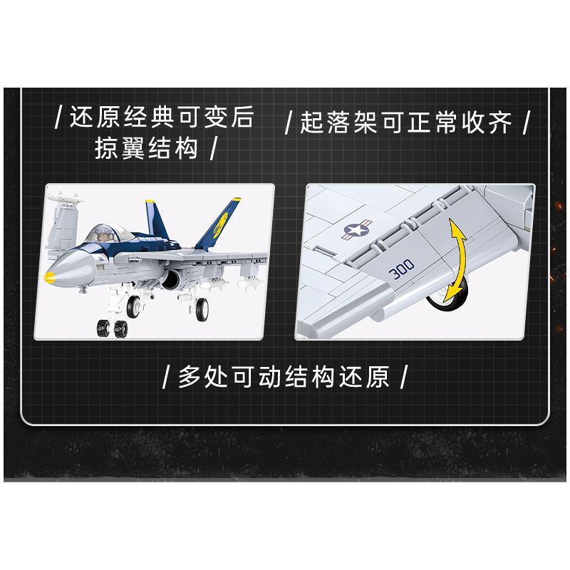 COBI CHARACTER BUILDING 5811 non MÁY BAY CHIẾN ĐẤU F14 TOMCAT PHIÊN BẢN ...