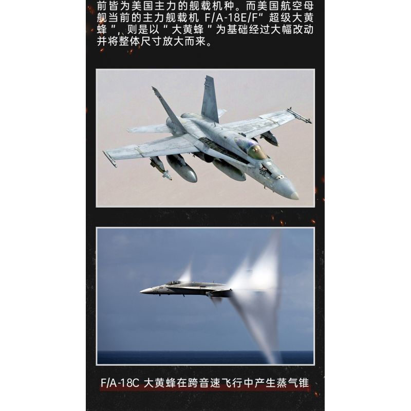 COBI CHARACTER BUILDING 5811 non MÁY BAY CHIẾN ĐẤU F14 TOMCAT PHIÊN BẢN ...