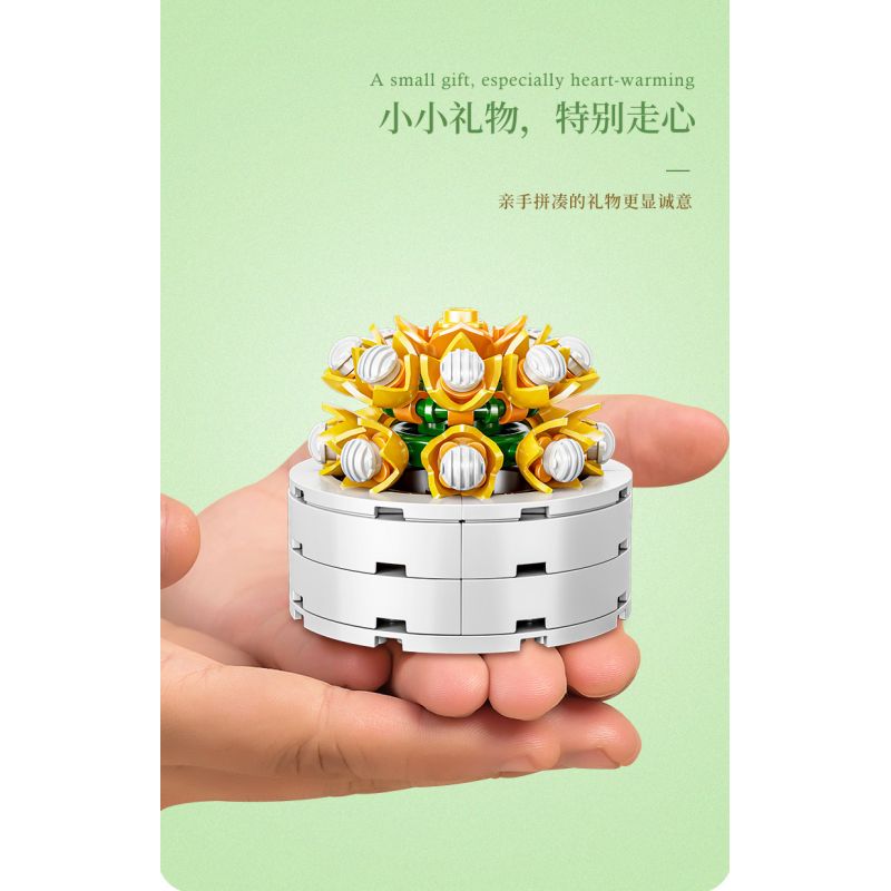 XIANG JUN 10975 non SHOP HOA CÂY CẢNH 6 LOẠI CHẬU MỌNG NƯỚC THIÊN THẦN ...