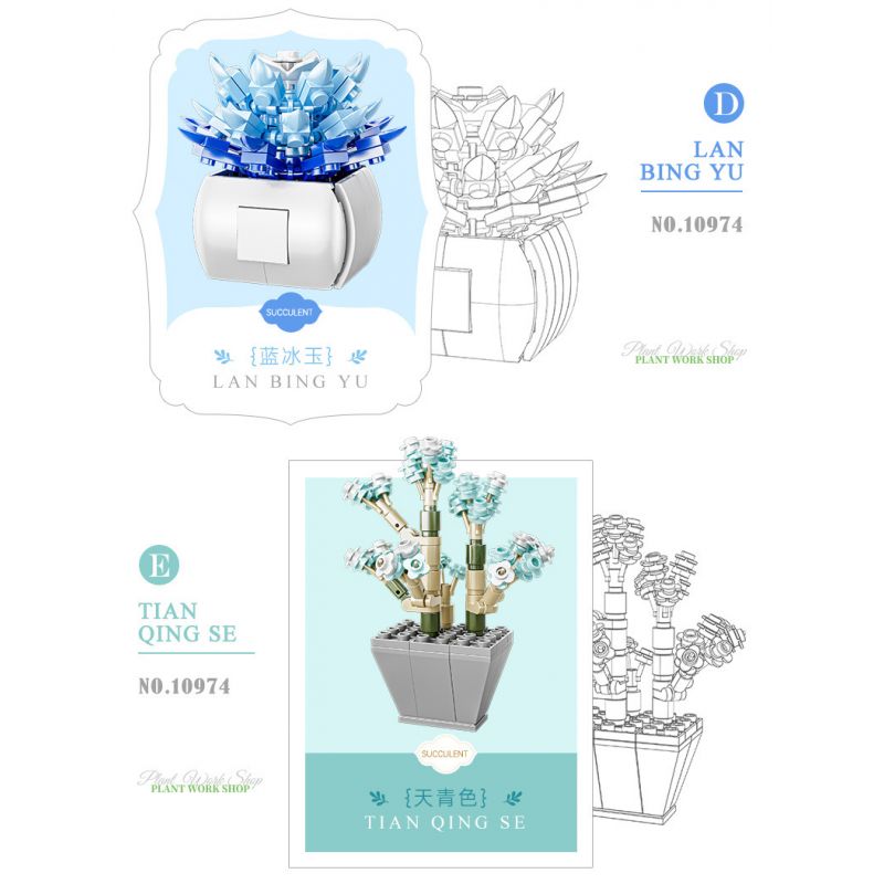 XIANG JUN 10975 non SHOP HOA CÂY CẢNH 6 LOẠI CHẬU MỌNG NƯỚC THIÊN THẦN ...