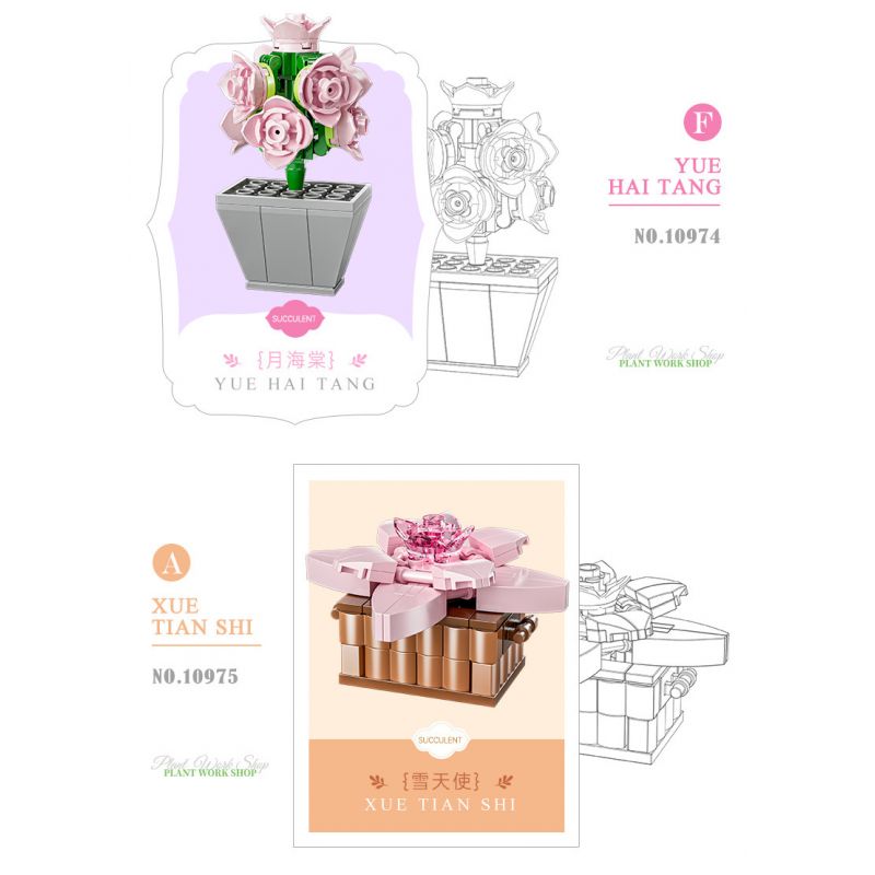 XIANG JUN 10975 non SHOP HOA CÂY CẢNH 6 LOẠI CHẬU MỌNG NƯỚC THIÊN THẦN ...