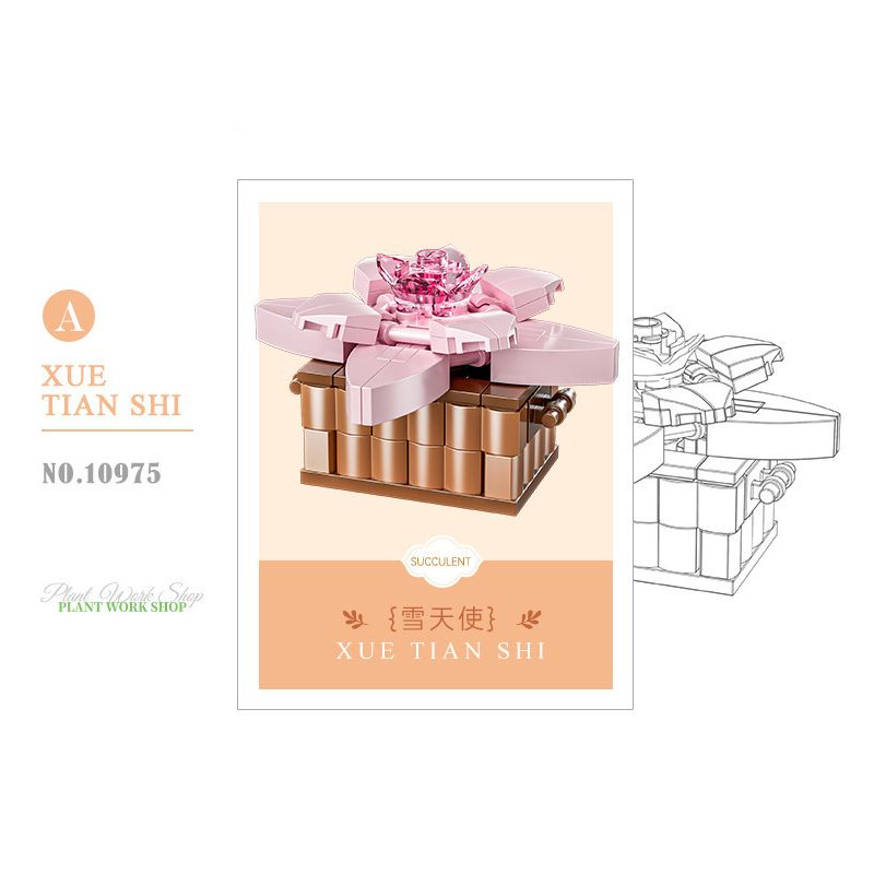 XIANG JUN 10975 non SHOP HOA CÂY CẢNH 6 LOẠI CHẬU MỌNG NƯỚC THIÊN THẦN ...
