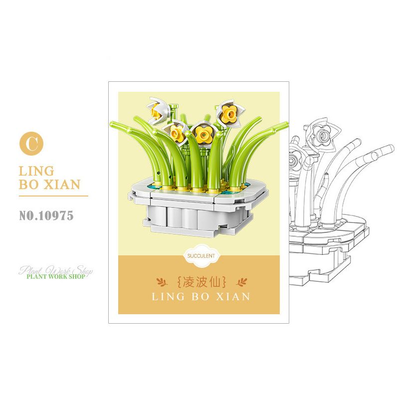 XIANG JUN 10975 non SHOP HOA CÂY CẢNH 6 LOẠI CHẬU MỌNG NƯỚC THIÊN THẦN ...