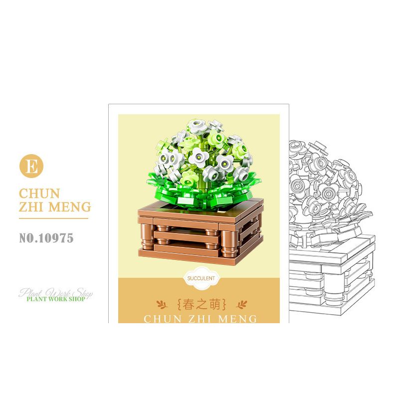 XIANG JUN 10975 non SHOP HOA CÂY CẢNH 6 LOẠI CHẬU MỌNG NƯỚC THIÊN THẦN ...