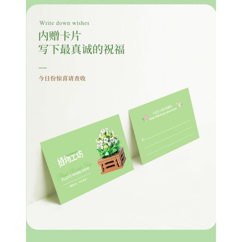 XIANG JUN 10975 non SHOP HOA CÂY CẢNH 6 LOẠI CHẬU MỌNG NƯỚC THIÊN THẦN ...