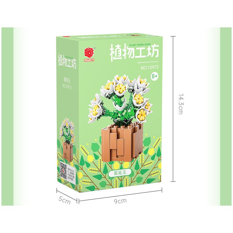 XIANG JUN 10975 non SHOP HOA CÂY CẢNH 6 LOẠI CHẬU MỌNG NƯỚC THIÊN THẦN ...