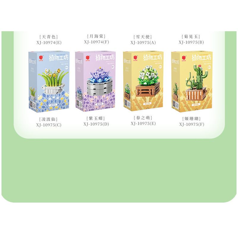 XIANG JUN 10975 non SHOP HOA CÂY CẢNH 6 LOẠI CHẬU MỌNG NƯỚC THIÊN THẦN ...
